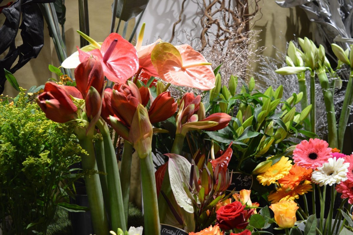 FLORE HALLE - Boutique florale à Lanester près de Lorient