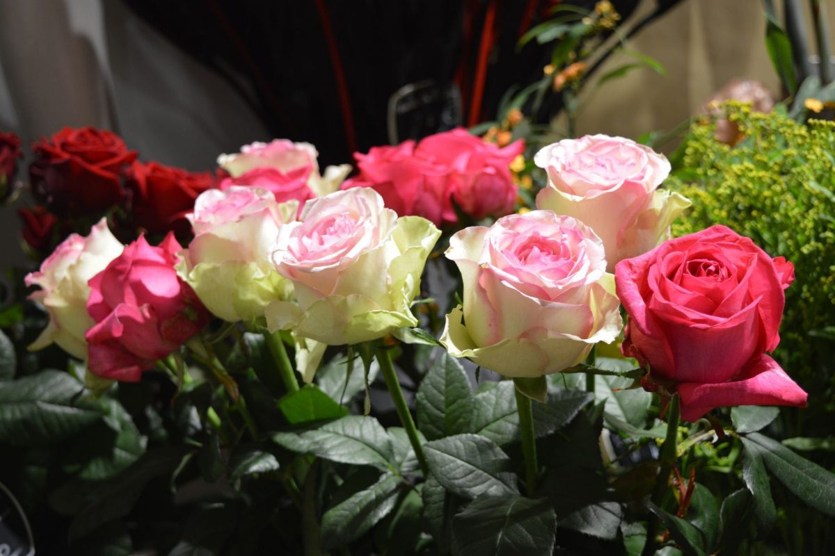 FLORE HALLE - Fleuriste Lorient